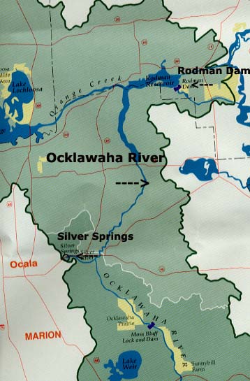 The week that was, 11/15-21/2009 : Chance of Rain